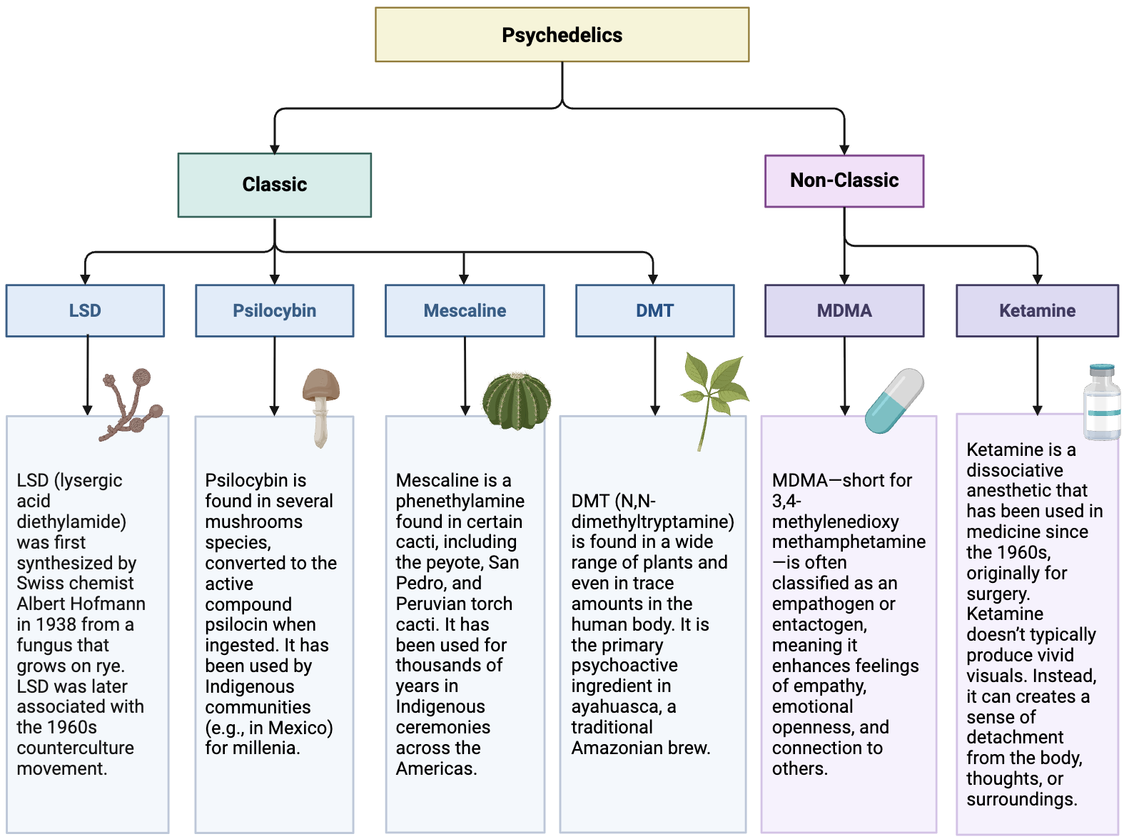 Learn – Centre for Psychedelics Health & Research